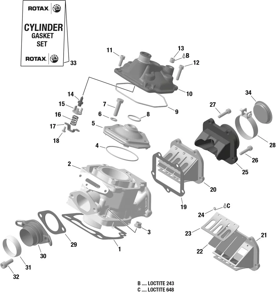 DD2 Cylinder - Race Rotax